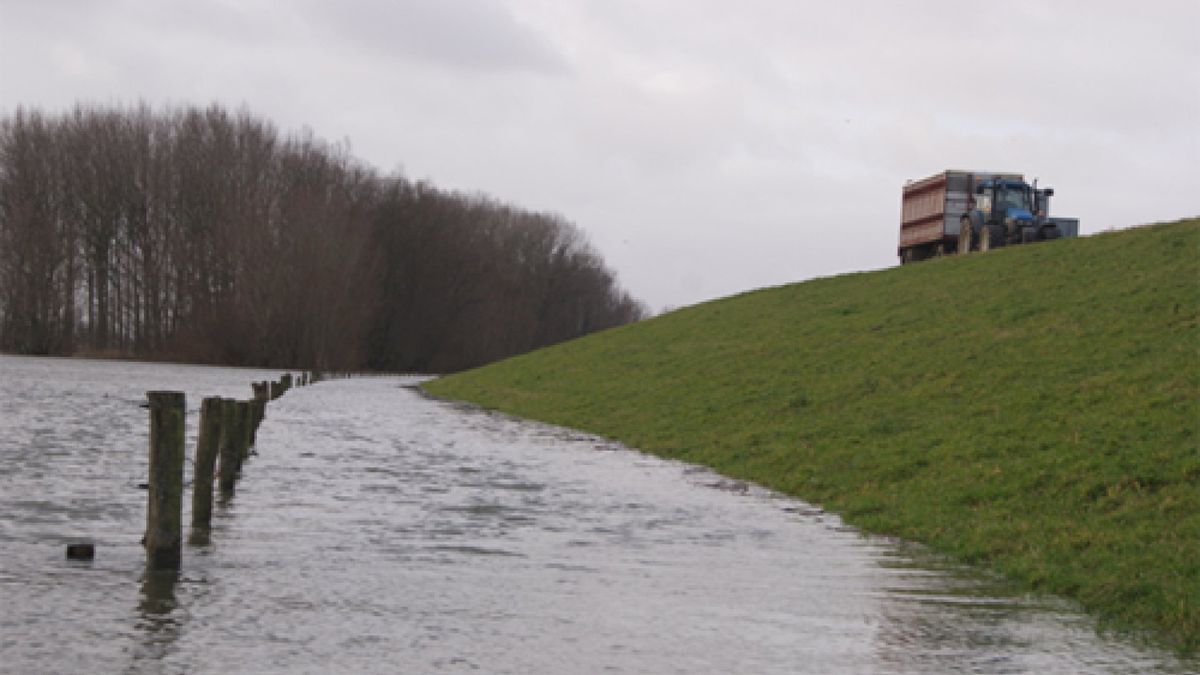 Rijn bij Lobith stijgt nog licht - Omroep Gelderland