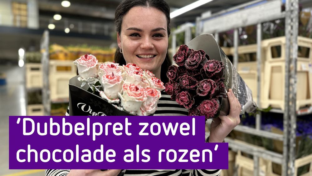 Deze rozen kosten 4 euro per stuk - Omroep Gelderland