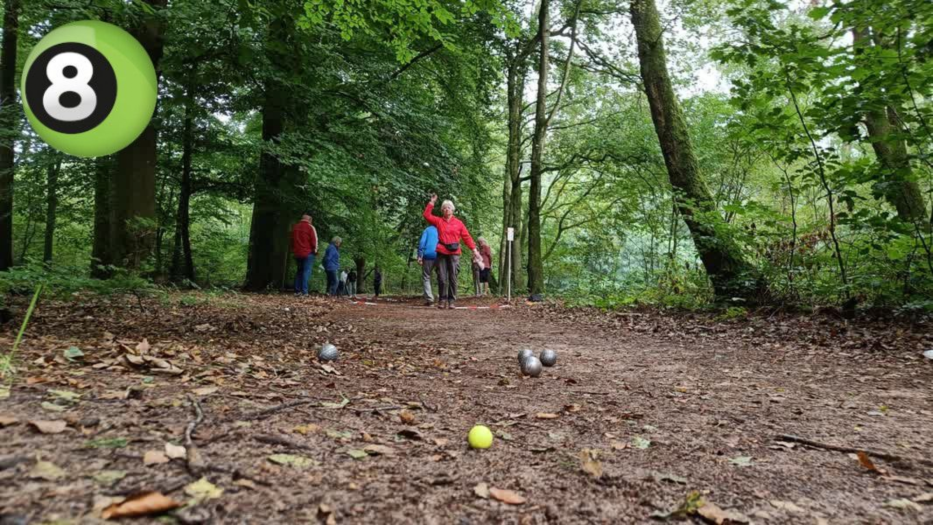 Eikels grote uitdaging voor jeu-de-boulers in bos bij Zeddam - Omroep ...