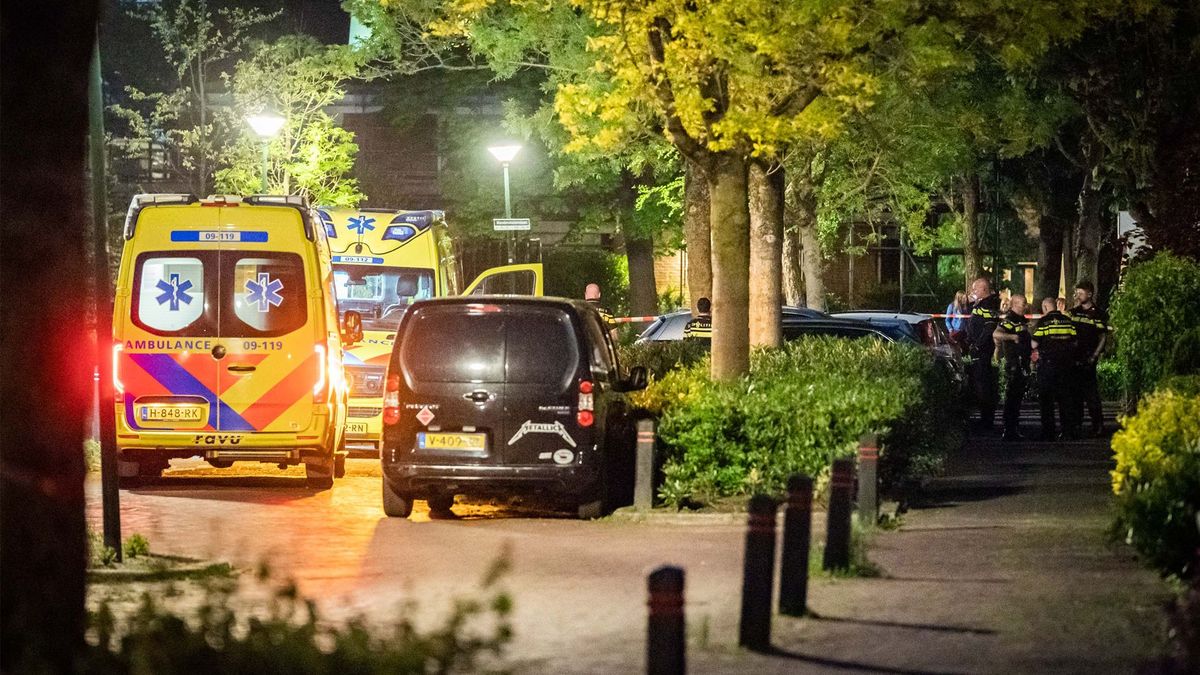 Opgepakte vrouw (50) verdacht van moord en/of doodslag na steekpartij in De Meern - RTV Utrecht