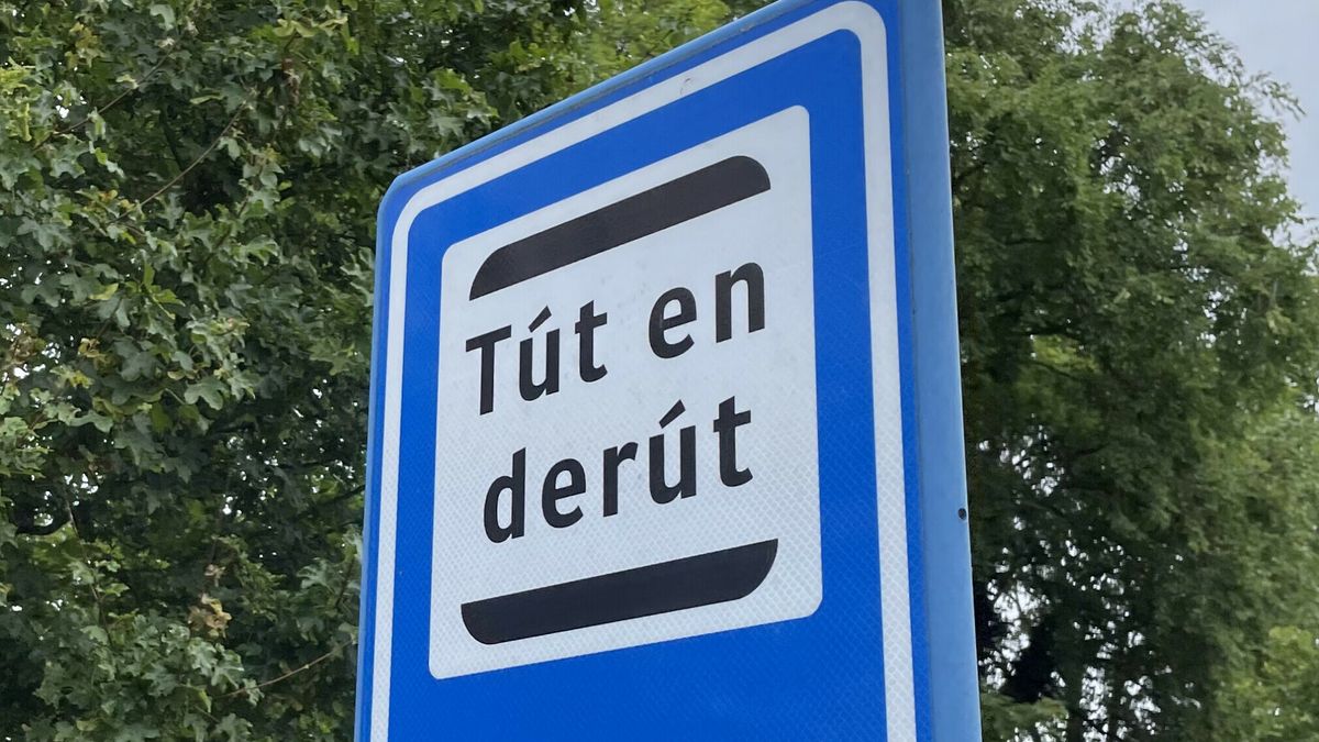 Rijk steekt 200.000 euro in onze taal, provincie wil meer Fries in de ...