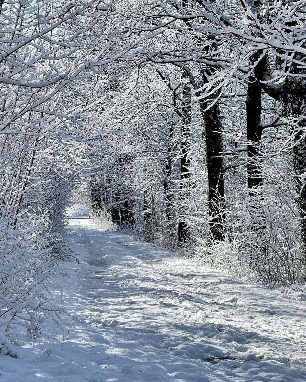 Code geel in Drenthe; mogelijk ontwaken we in een witte wereld - RTV ...