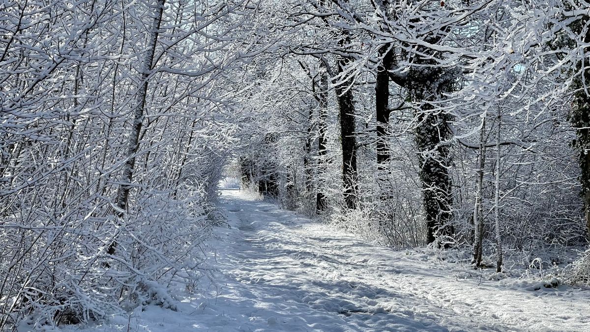 Code geel in Drenthe; mogelijk ontwaken we in een witte wereld - RTV ...