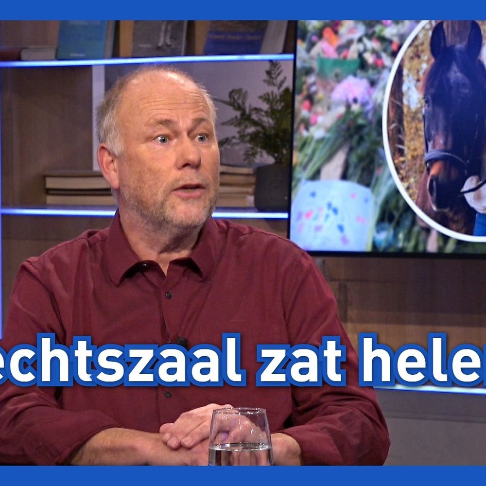 Twaalf jaar cel en tbs geëist voor moord op Jet uit Winsum - RTV Noord