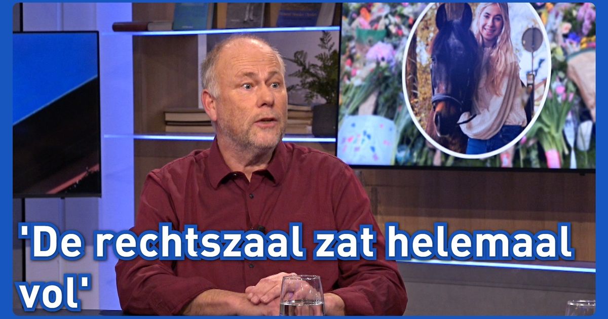 Twaalf jaar cel en tbs geëist voor moord op Jet uit Winsum - RTV Noord