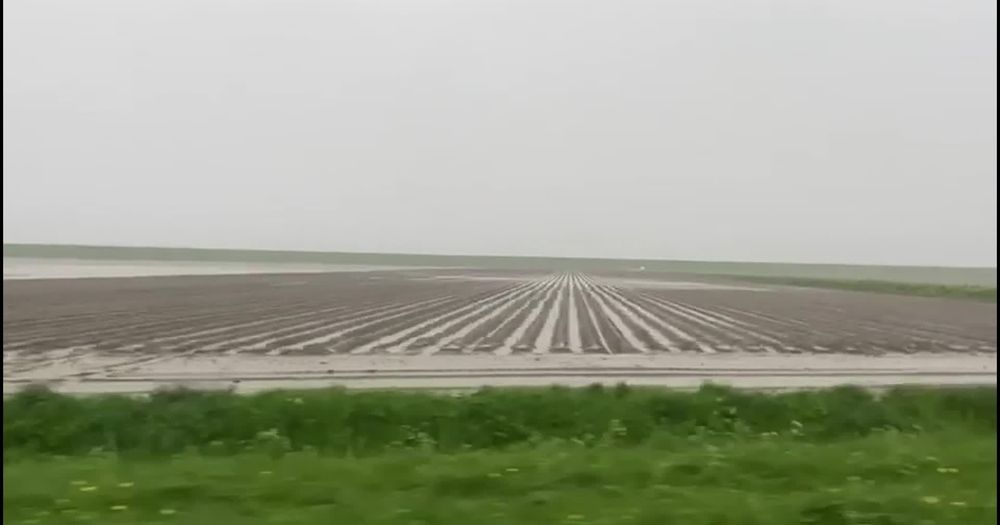 Boer Arie van Os ziet een deel van zijn oogst in duigen vallen vanwege ...