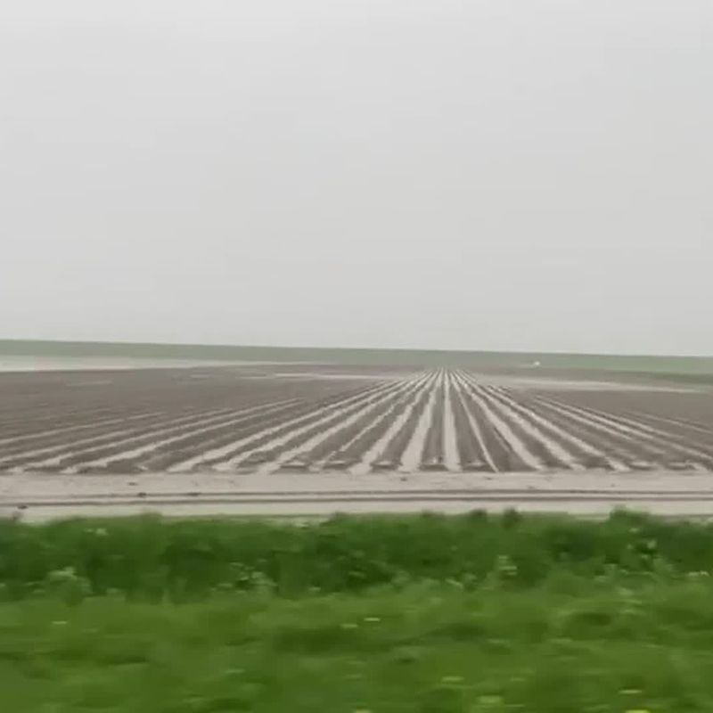 Boer Arie van Os ziet een deel van zijn oogst in duigen vallen vanwege ...