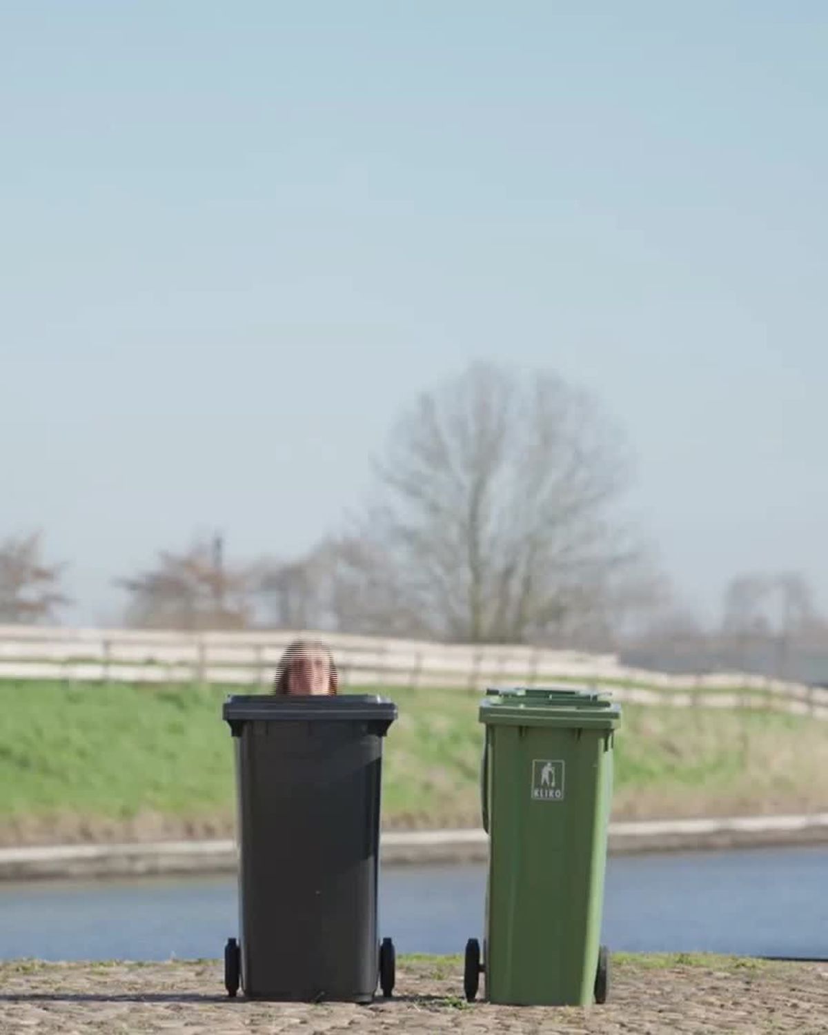 Wat hoort in de groene of grijze bak? - Omroep Zeeland