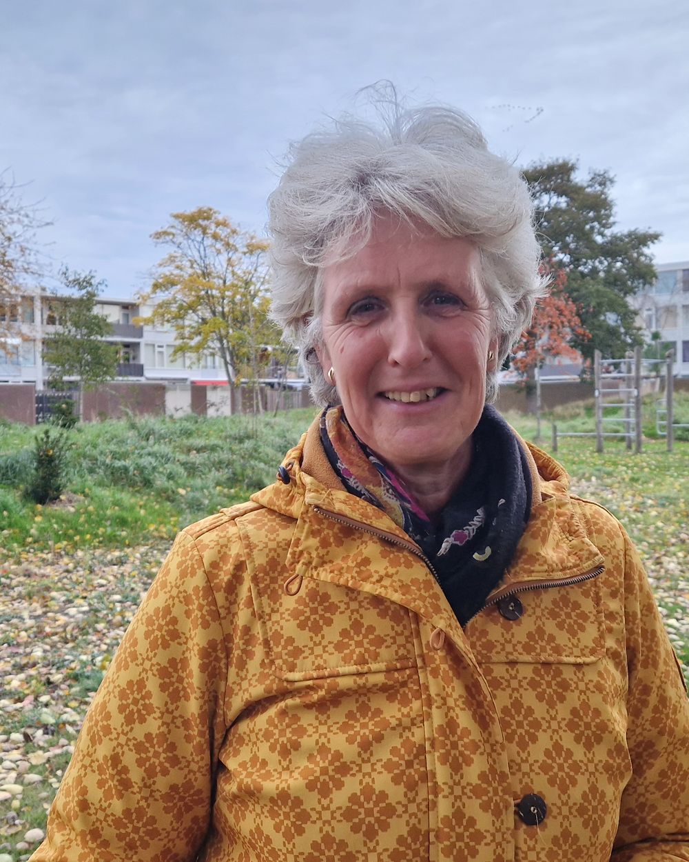 Miljoenenimpuls voor Dauwendaele: wijk krijgt eindelijk een kloppend ...