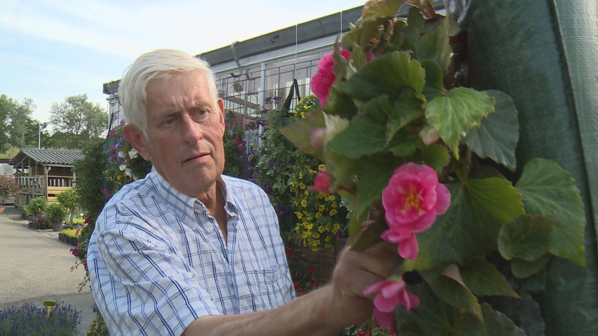 Oostvoornse bloemist Jan Roskam sprakeloos na niertransplantatie - Rijnmond