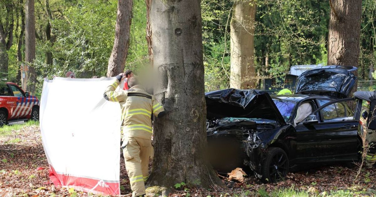 Auto tegen boom, drie gewonden • motorrijder zwaargewond - Omroep Gelderland