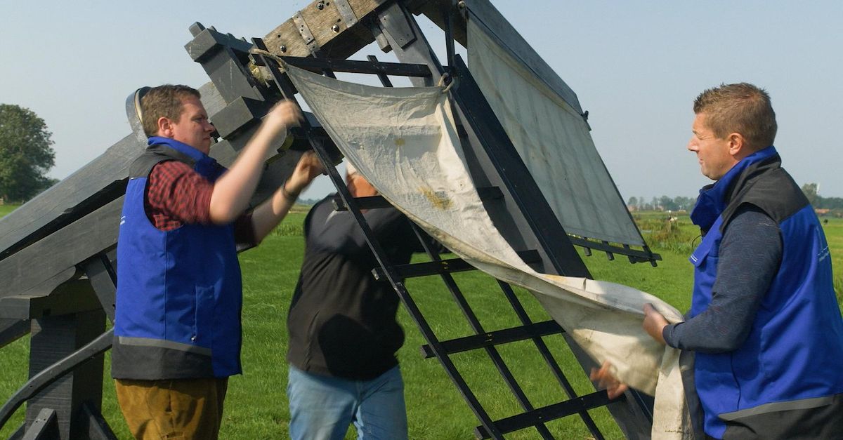 Unike Fryske mûne-oplieding 50 jier: "Kinst folle mear leare" - Omrop ...