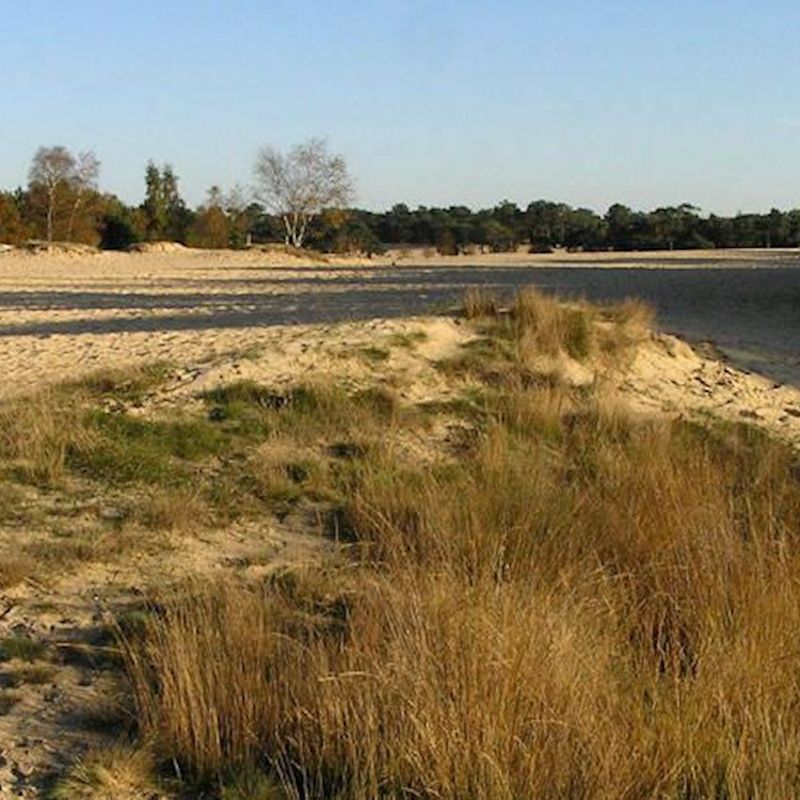 23 augustus - Bezoekerscentrum de Wakel in Haaksbergen - Oost