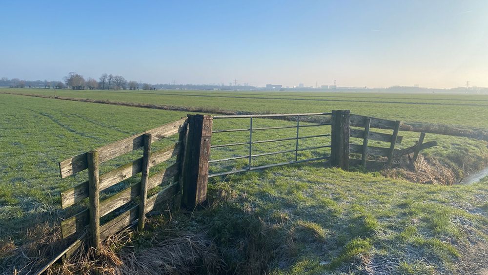 Definitief vier windmolens in polder Rijnenburg - RTV Utrecht