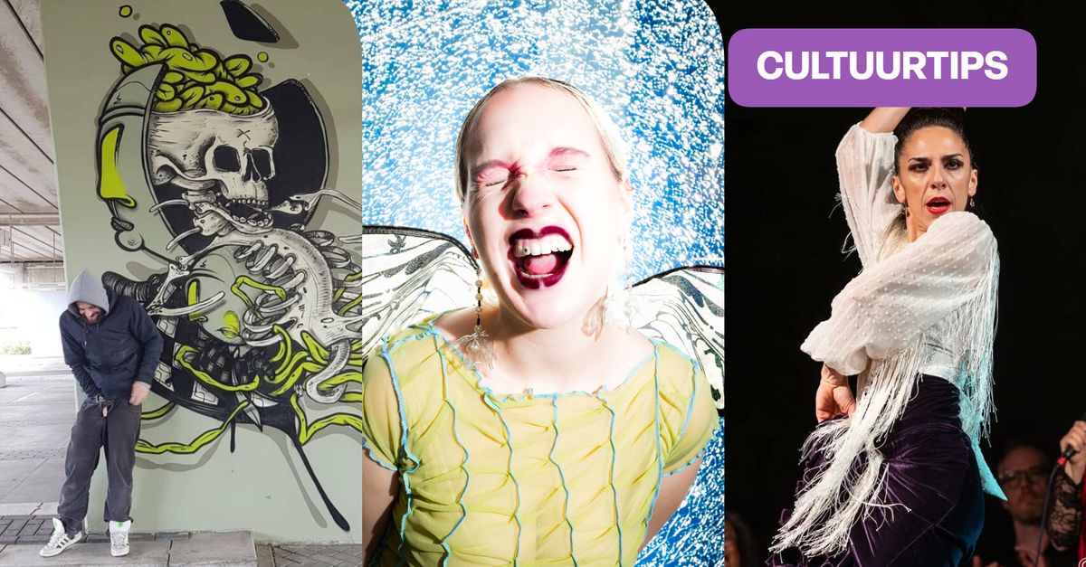 Vijf cultuurtips om je weekend schwung te geven - L1 Nieuws