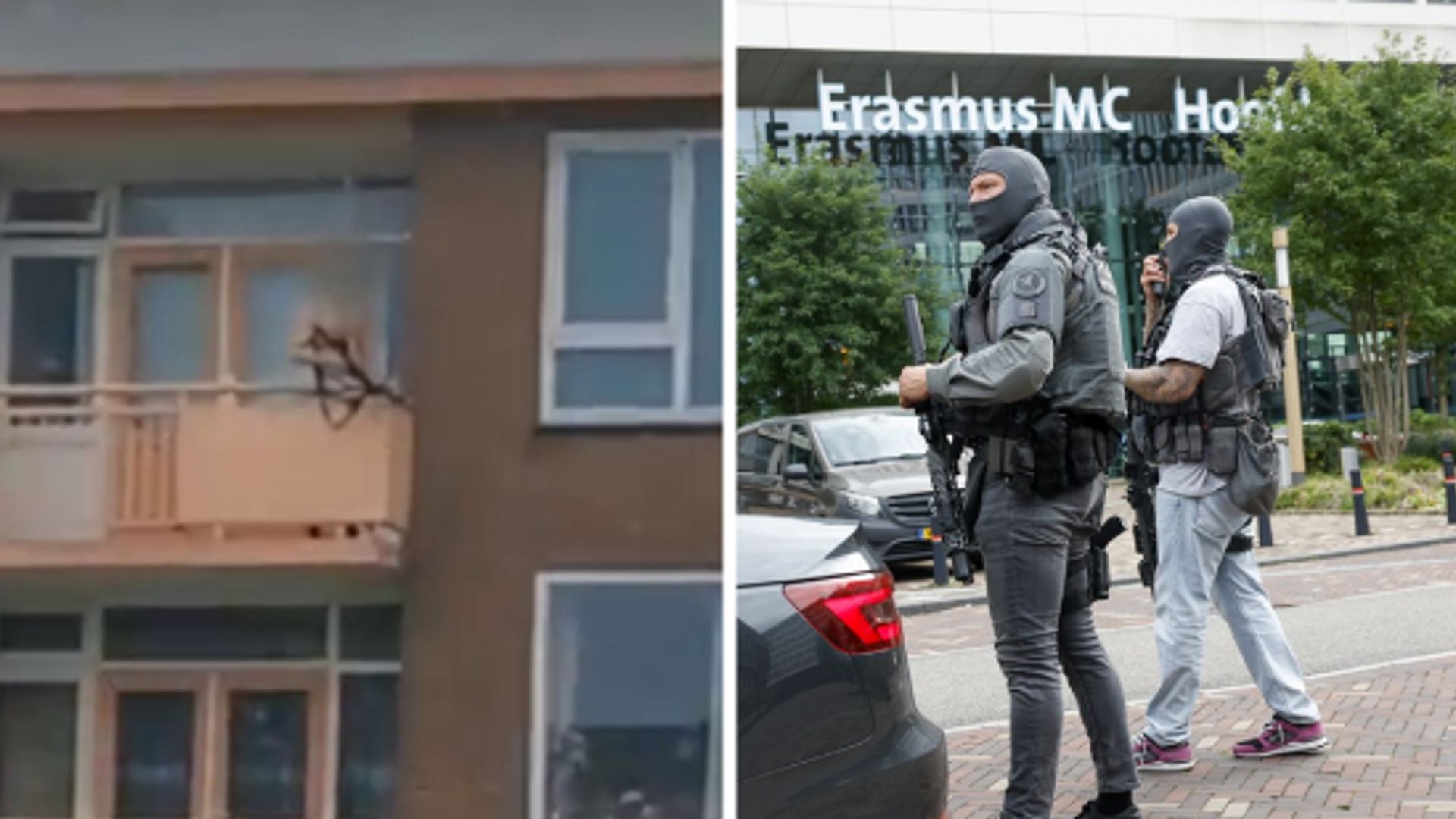 Dit zijn de overeenkomsten tussen Rotterdamse Erasmusschutter en ...