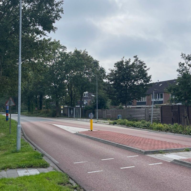 Flitspalen bij schoolzones in Leek flitsten in één jaar bijna 8.700 ...