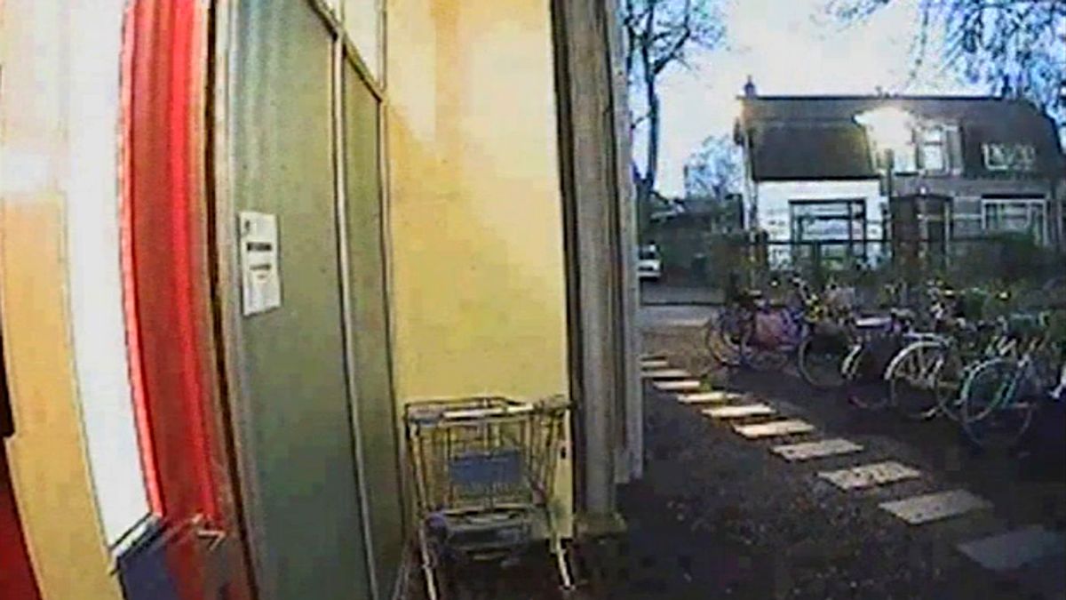 Onderzoekteam: Nieuwe feiten Dascha Graafsma - RTV Utrecht