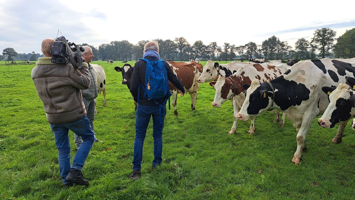 'Van gras naar glas', zo zorgen Elly en Gert voor de beste koemelk ...