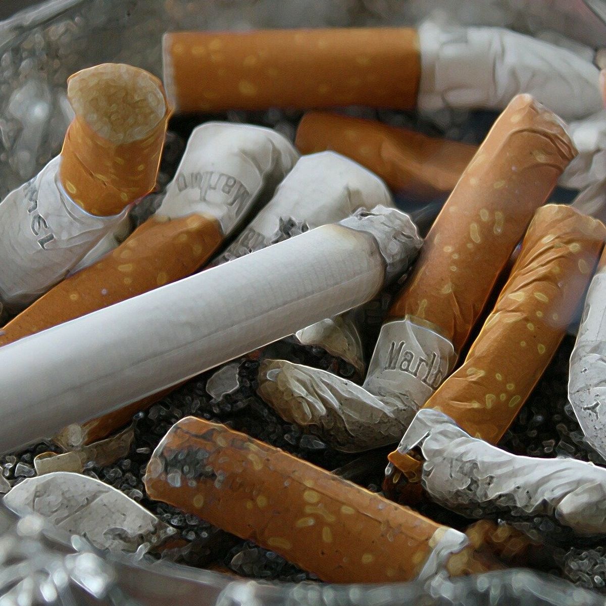 Rokers slaan slag in Duitsland na prijzenstijging sigaretten en shag ...