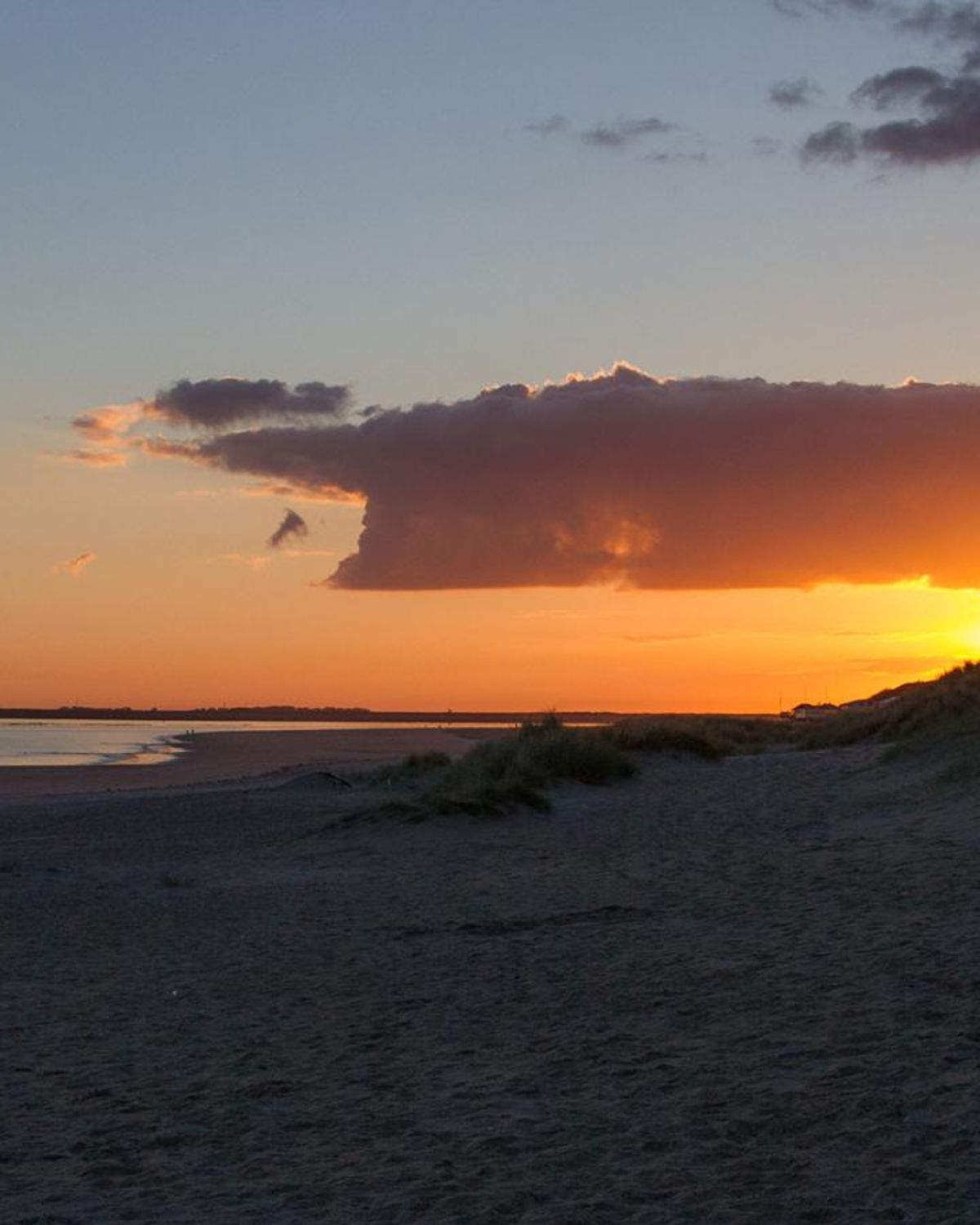 Nazomerfestival strijkt deze zomer neer op strand op Schouwen - Omroep ...