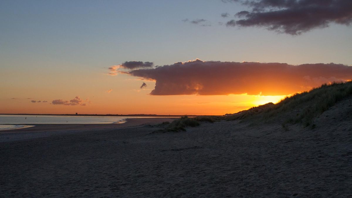 Nazomerfestival strijkt deze zomer neer op strand op Schouwen - Omroep ...