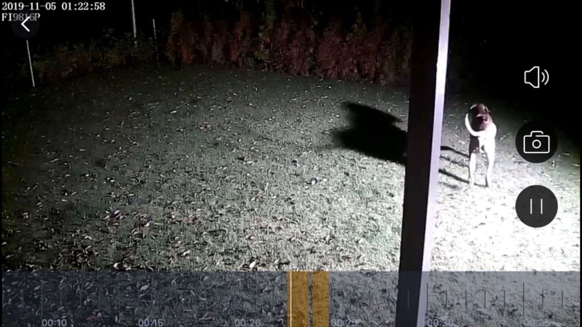 Schansker schijtziek van poepende hond - RTV Noord