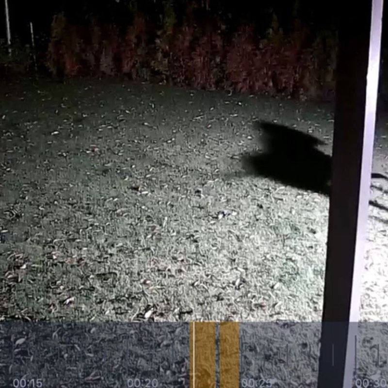 Schansker schijtziek van poepende hond - RTV Noord