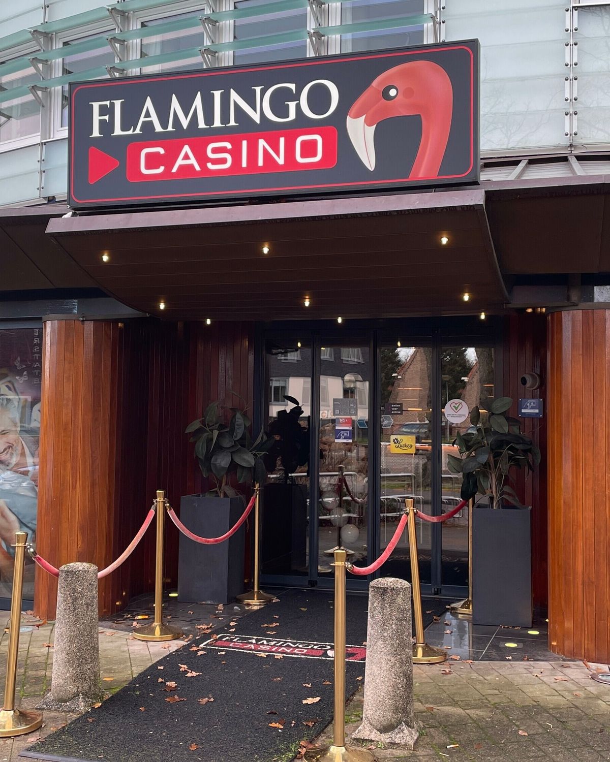 Flamingo Casino en Jack's Casino in Emmen hoeven niet te sluiten - RTV ...