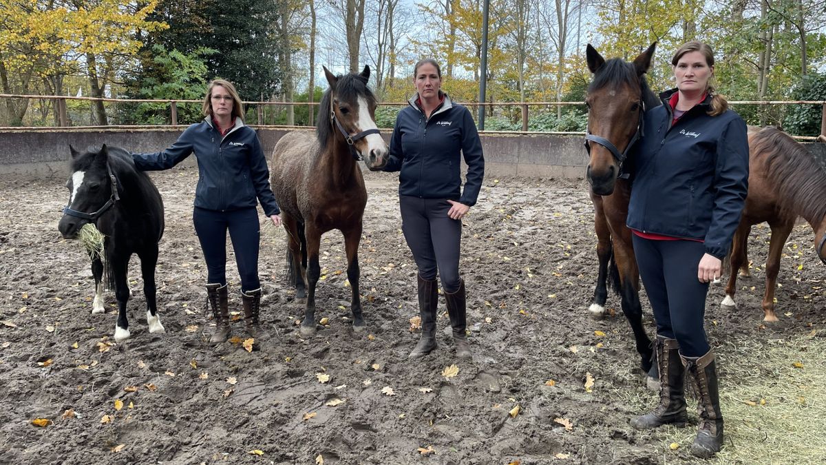 Manege moet stukje grond opgeven voor natuur: 'Wij willen onze paarden ...