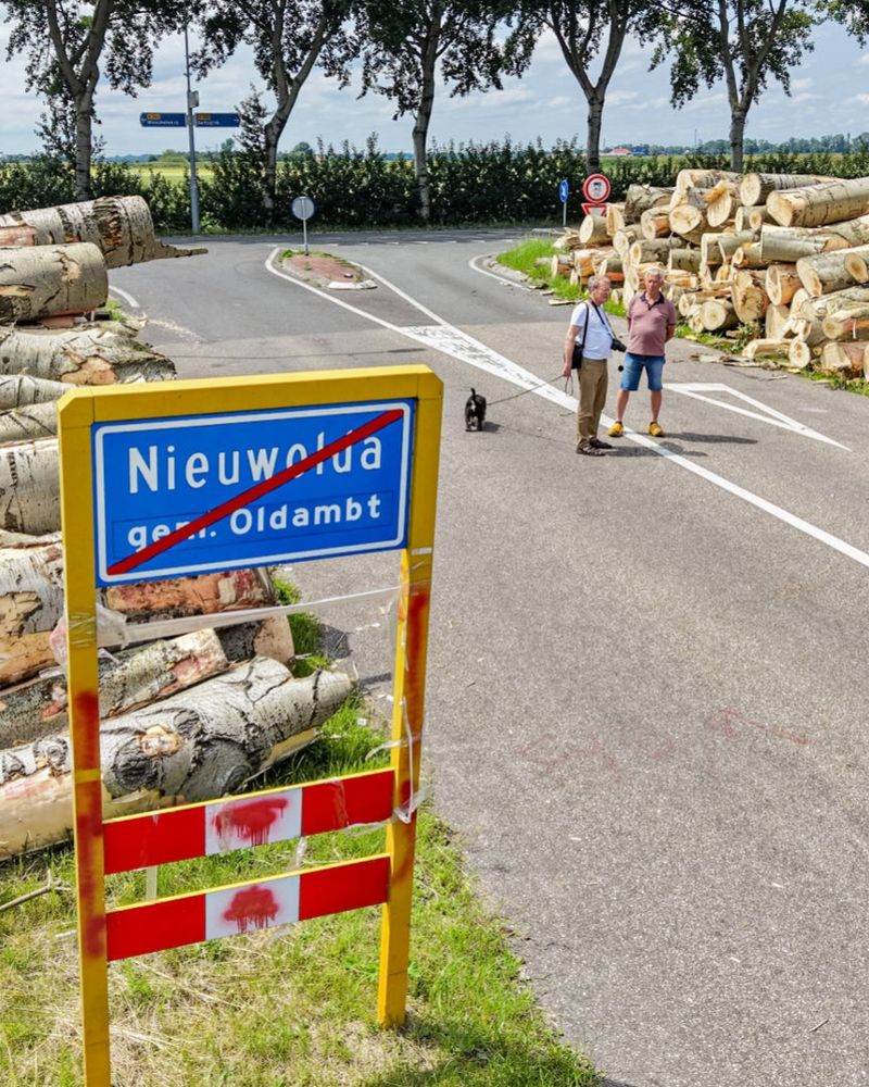 112-nieuws: Stapels boomstammen langs N362 bij Nieuwolda • Paard uit ...