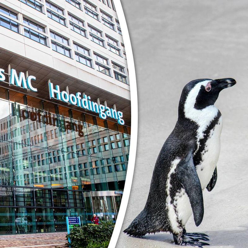 Wetenschappers van het Erasmus MC onderweg naar Antartica voor ...