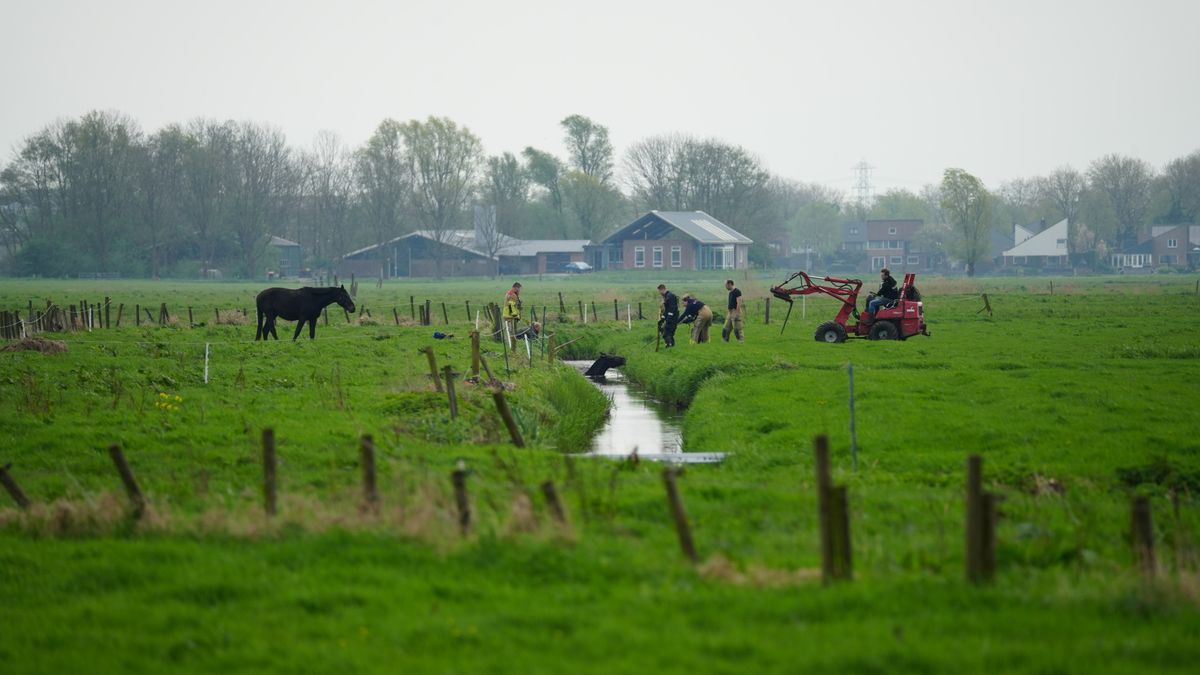 112-blog: Explosie bij Arie Blok diervoeding in Woerden | Opnieuw file ...