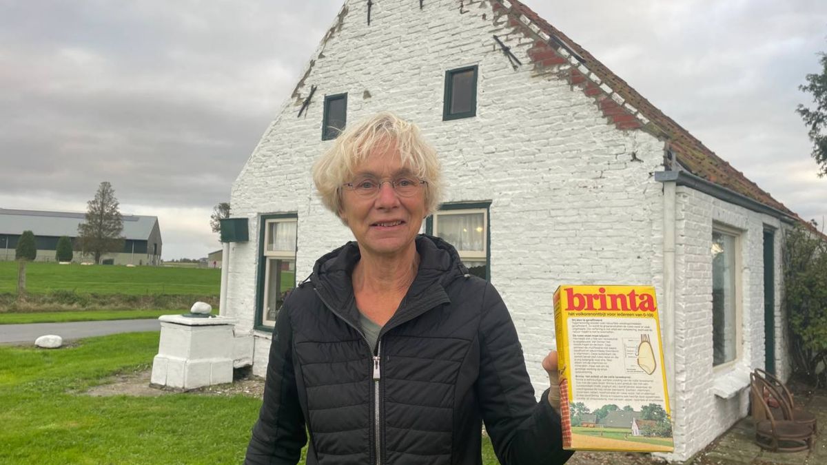 Brintahuisje in Warffum wordt opgeknapt: 'Het is een stukje historie ...