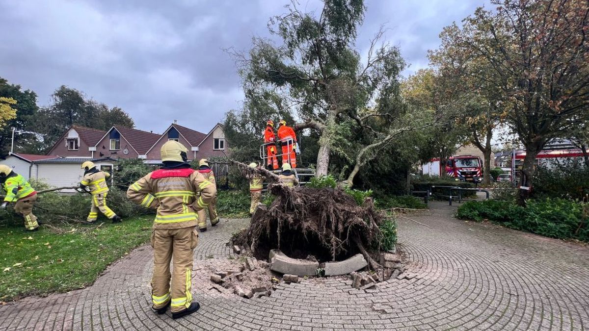 Harde windstoten en buien, vanavond code oranje - Omroep Gelderland