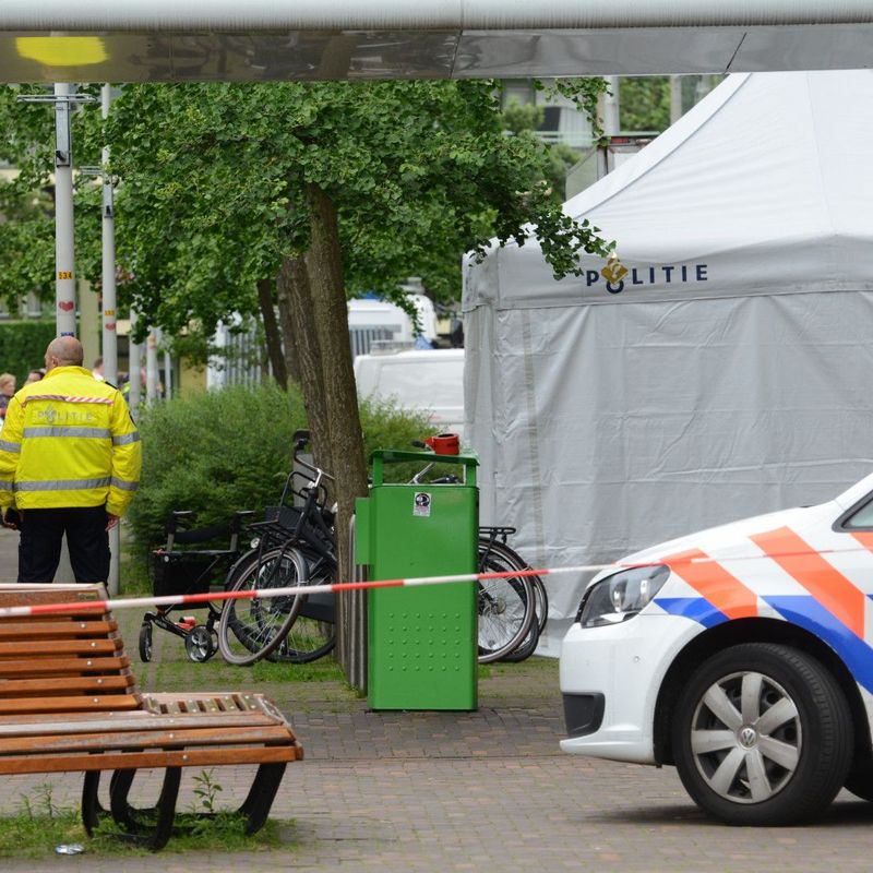Werkstraf na ongeluk waarbij 83-jarige vrouw om het leven kwam - Omroep ...