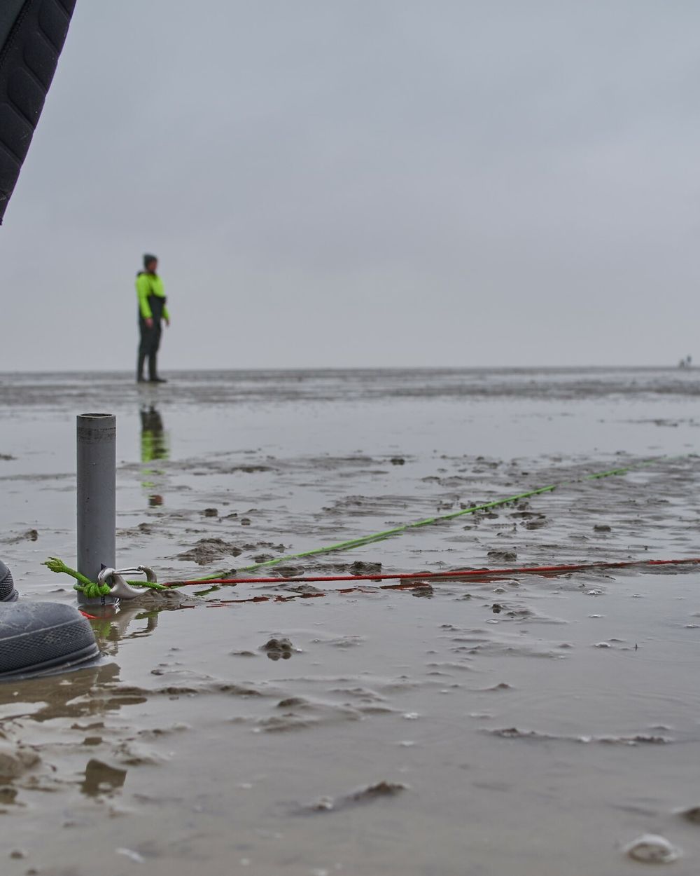 Verenigde Naties opgeroepen om zoutwinning onder Waddenzee te stoppen ...