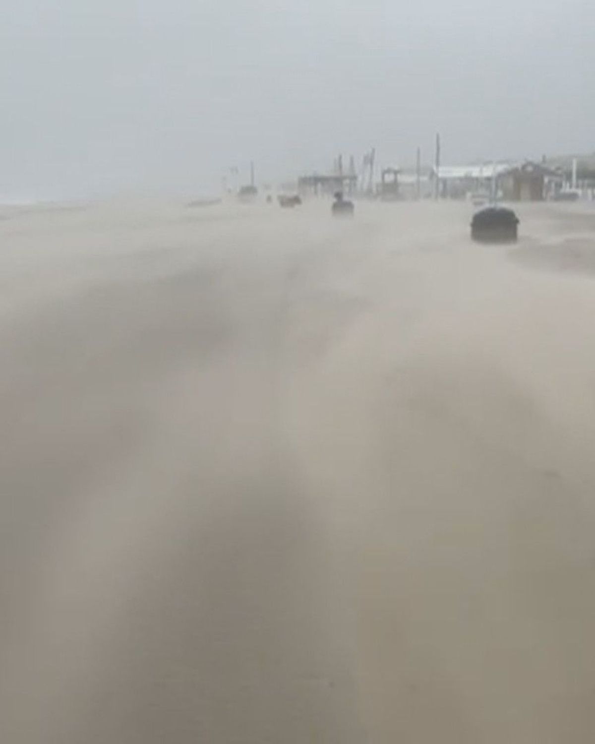Storm Poly op het strand - Omroep West