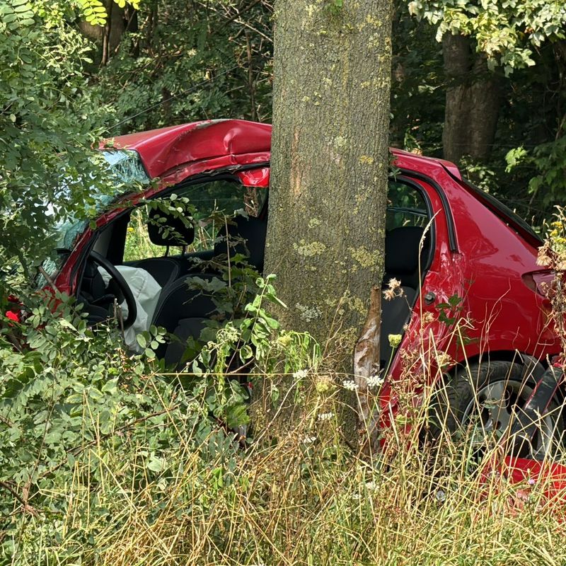 Gewonde nadat auto tegen boom botst in Geleen: traumahelikopter geland - L1 Nieuws