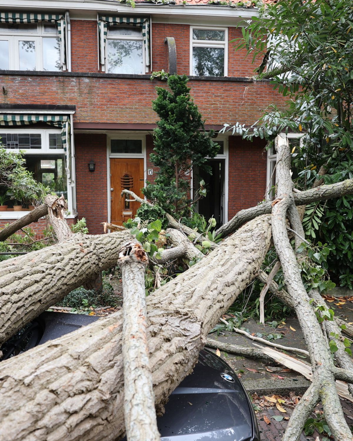 KNMI geeft code oranje af: zware storm op komst - Omroep West