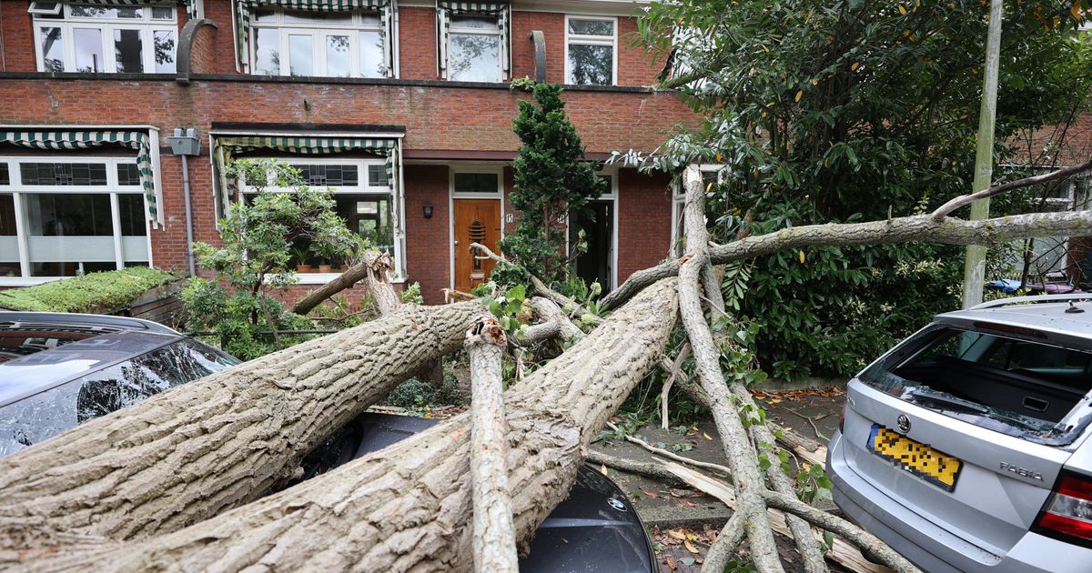 KNMI geeft code oranje af: zware storm op komst - Omroep West