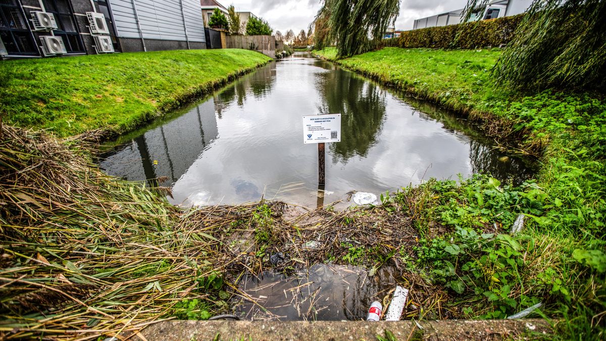 Kankerverwekkende stoffen in sloot veroorzaakt door brandblusbedrijf ...