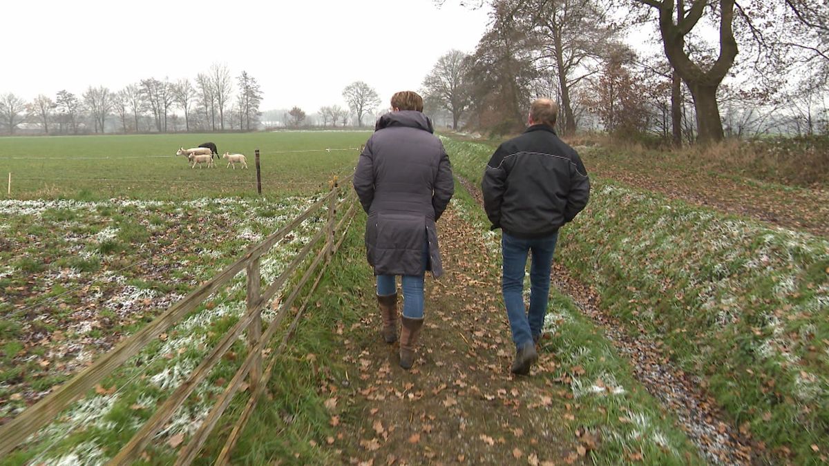 Het jaar van de wolf - RTV Drenthe