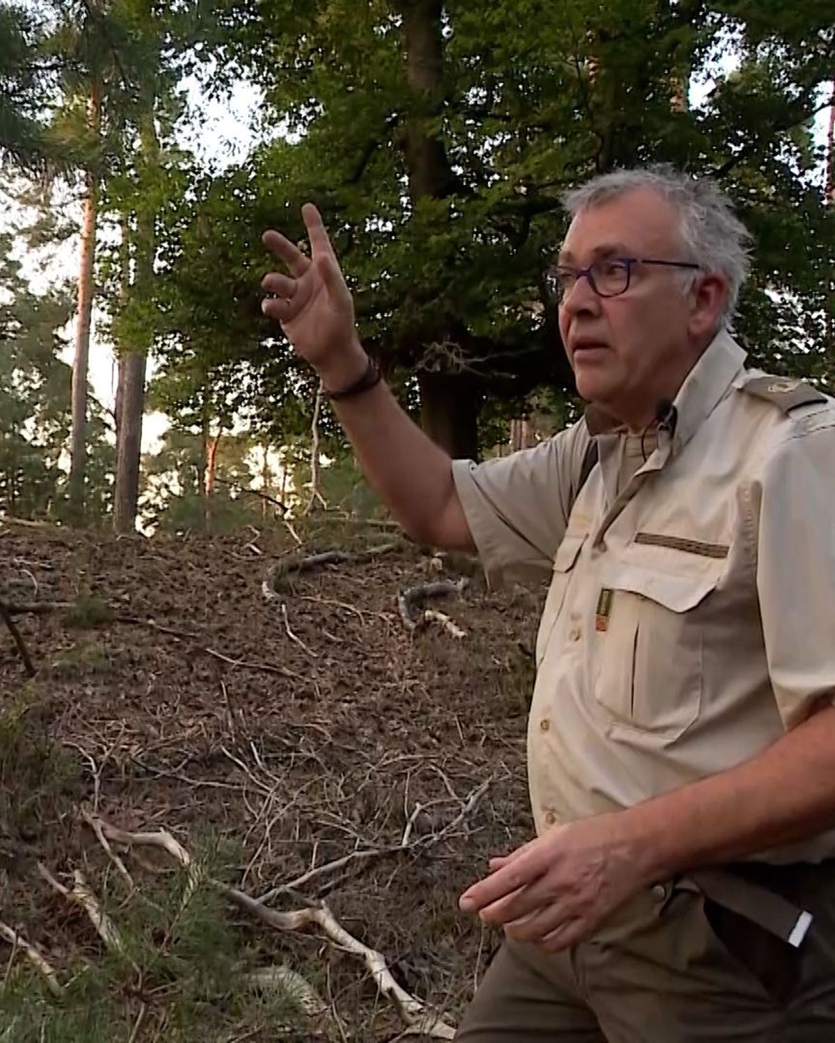 Bekende boswachter Henk (64) overleden - Omroep Gelderland