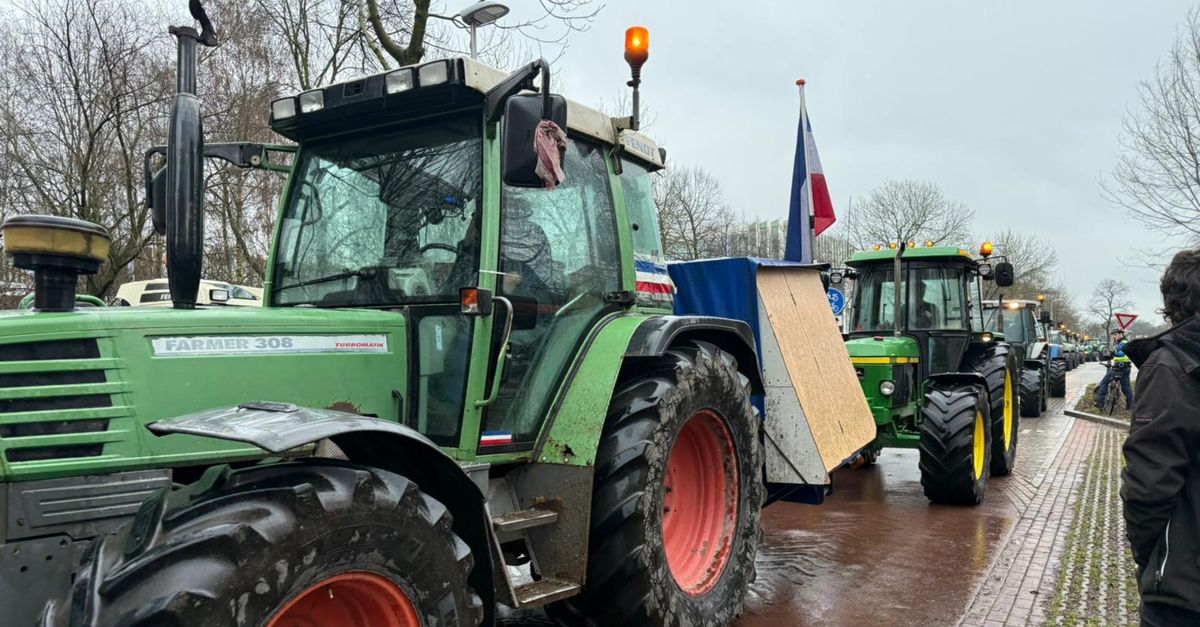 Elbert weet niet hoe lang hij nog boer kan zijn: 'Vijf boerenbedrijven ...