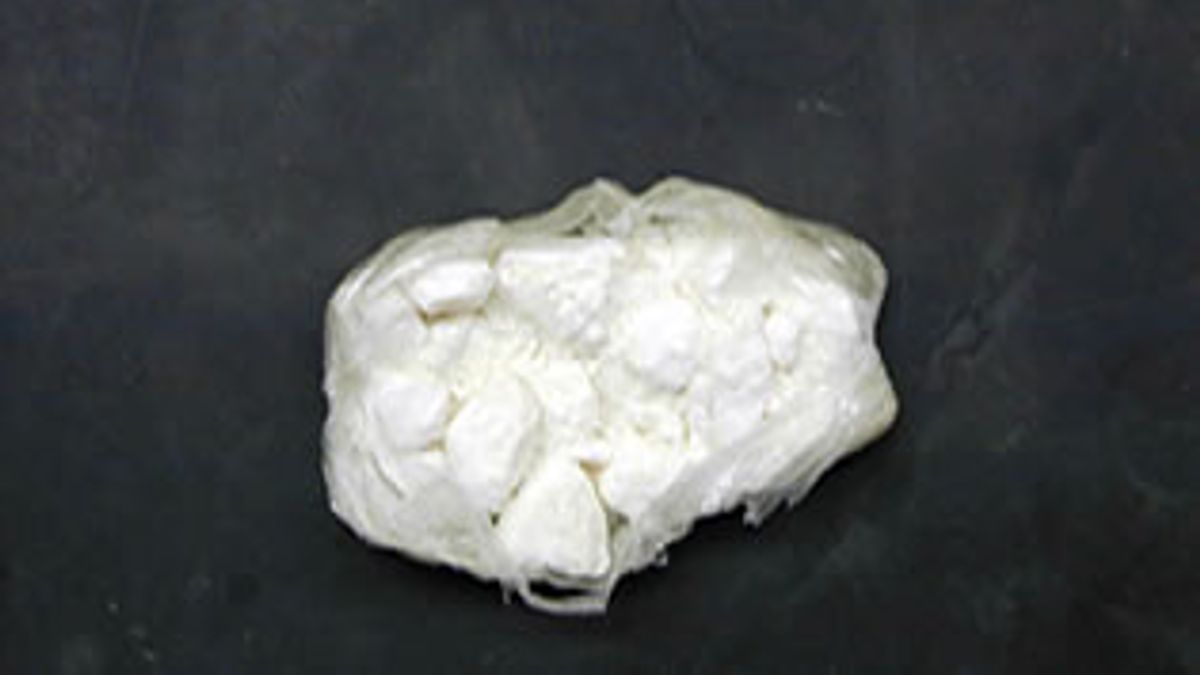 350 kilo cocaine onderschept - Rijnmond