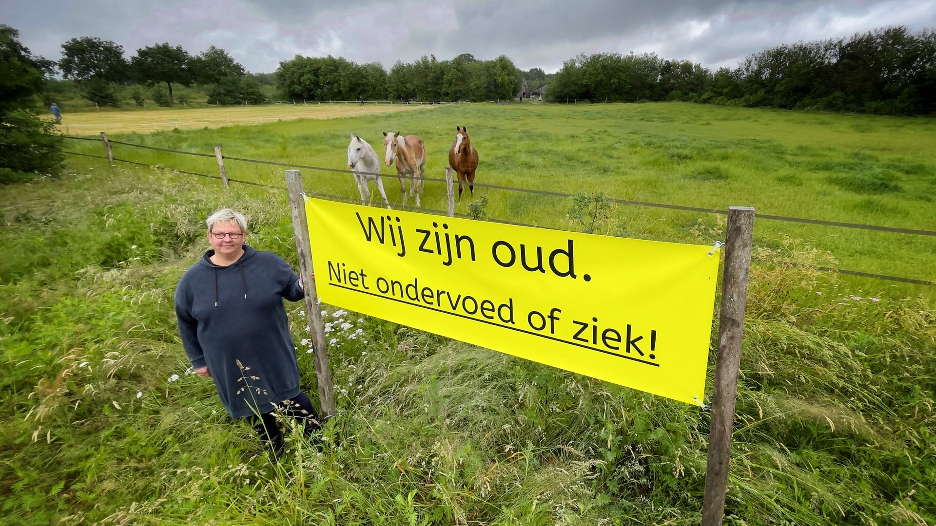 Spandoek moet duidelijkheid scheppen: 'Onze paarden worden wél goed ...