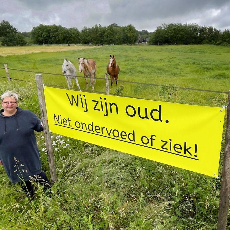 Spandoek moet duidelijkheid scheppen: 'Onze paarden worden wél goed ...