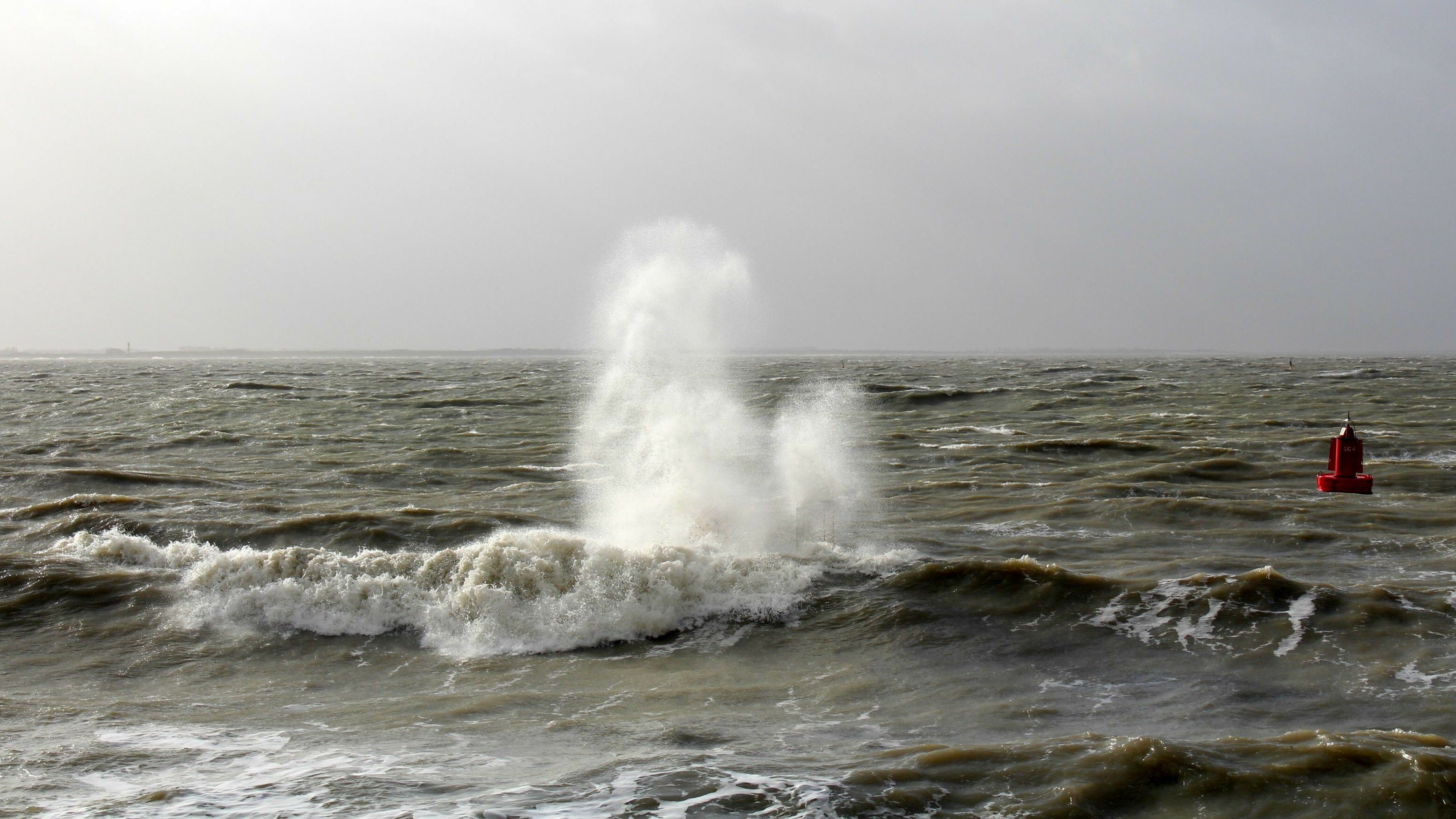 Goedemorgen! Storm Pia, kale hoofden in Goes, tentoonstelling met ...