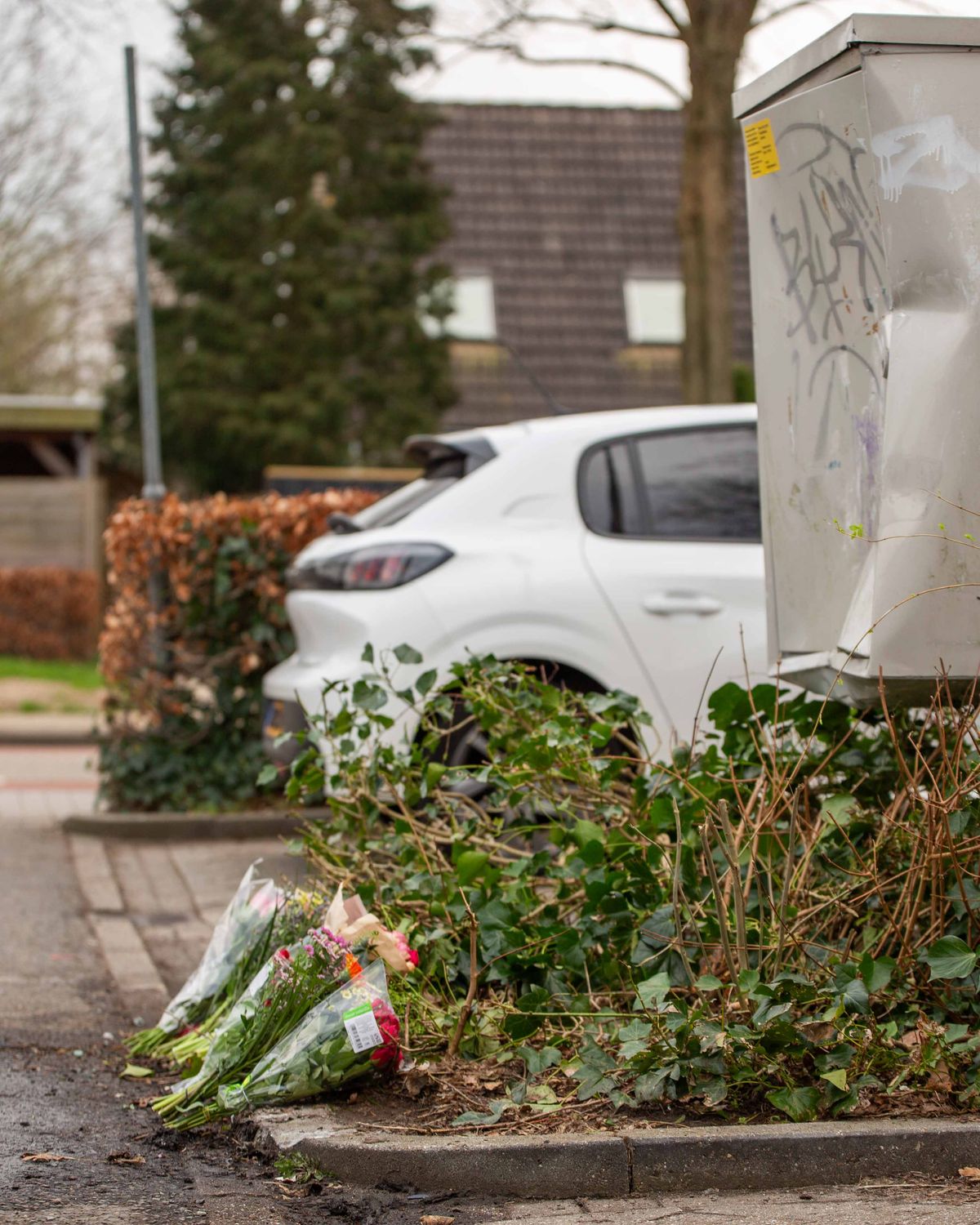 Buurtbewoners van slachtoffer schietpartij Zwolle geschokt: "Peter was ...